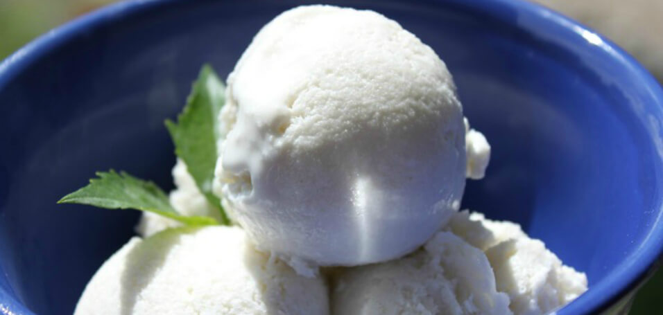 The 10 Best Homemade Vanilla Ice Cream Recipes You Can Make - Legion ...
