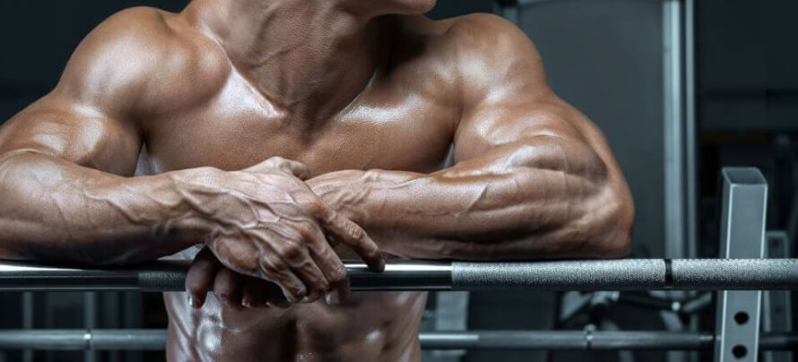 Ep. #364: The Definitive (and Practical) Guide to Muscle Hypertrophy ...