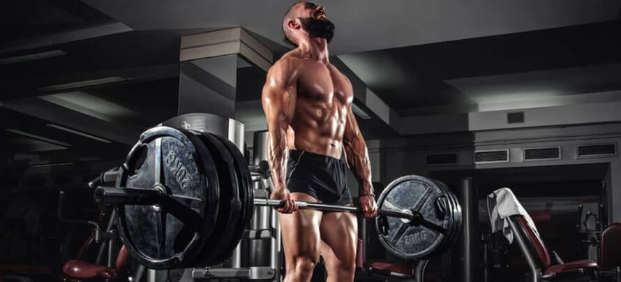 The Ultimate Beginner’s Guide to Powerlifting (With a Free Training Plan!)