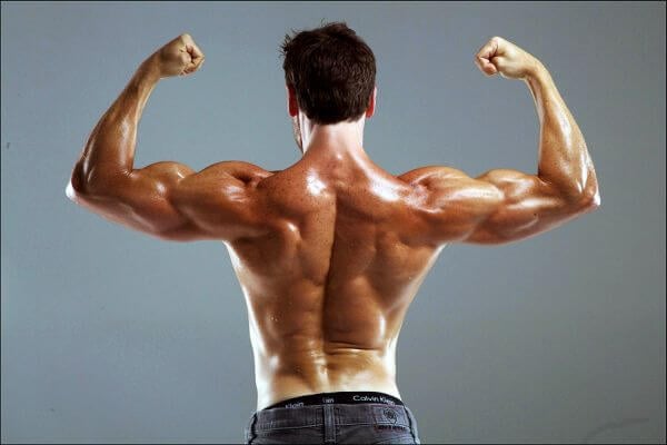 What's the Best Workout Split? - Legion Athletics