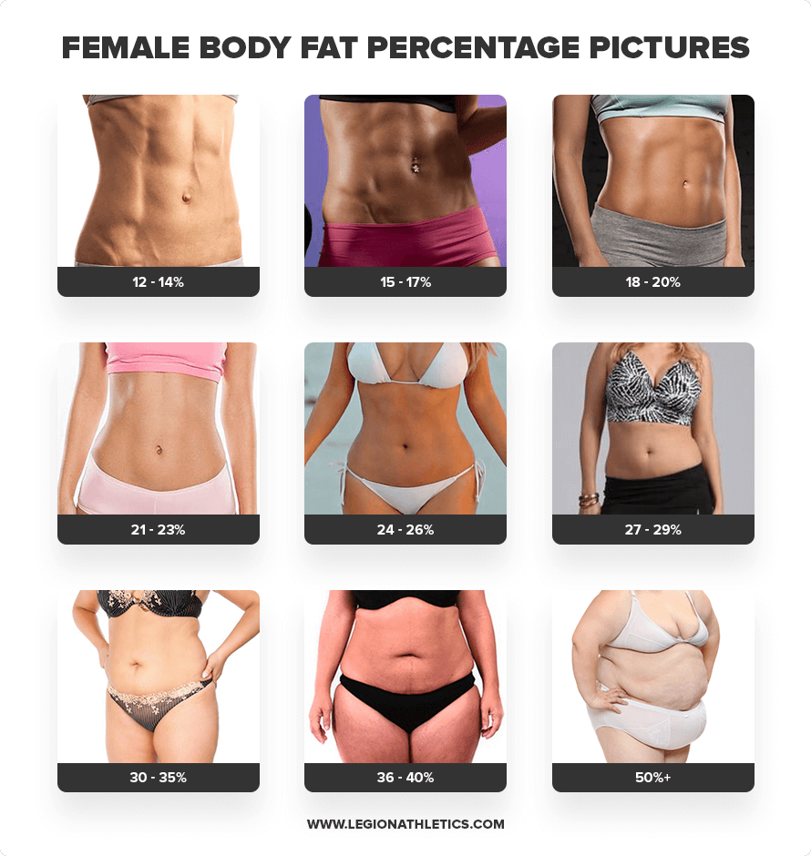 Body Fat Percentage Calculator For Men Women Body Fat Percentage Calculator For Men Women