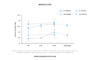 How to Get Back Into Weightlifting After a Break from the Gym (With a ...