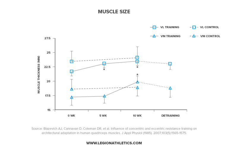 How to Get Back Into Weightlifting After a Break from the Gym (With a ...