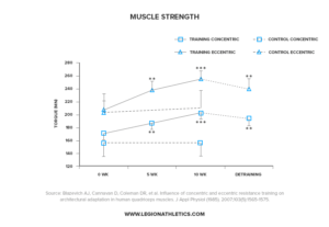 How to Get Back Into Weightlifting After a Break from the Gym (With a ...