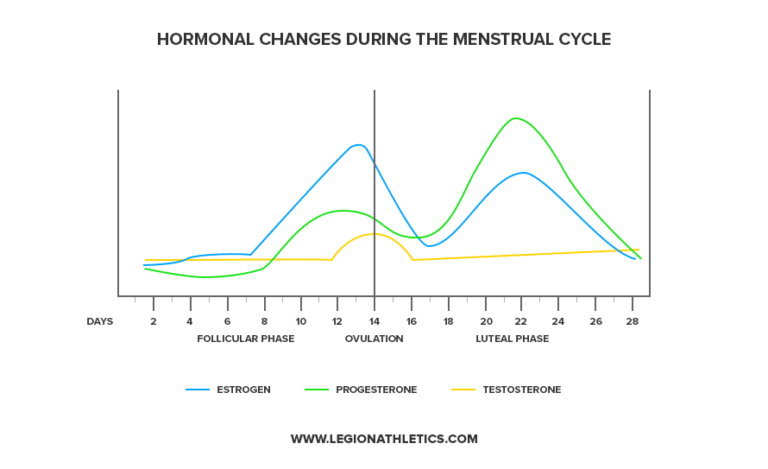 The Complete Guide to Eating and Training During Your Menstrual Cycle ...