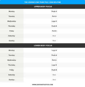 Push Pull Legs Routine: Your Guide to the PPL Workout Split