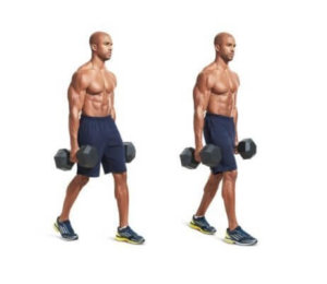 28 Dumbbell Exercises and Workouts for Your Whole Body | Legion