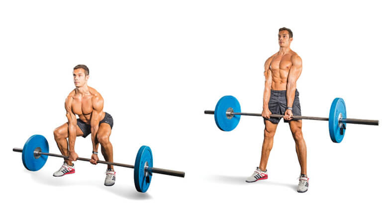 Best Compound Back Exercises for a Full Back Workout | Legion Athletics