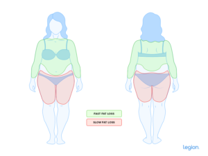 Fat Loss Stages: Where Do You Lose Weight First? | Legion
