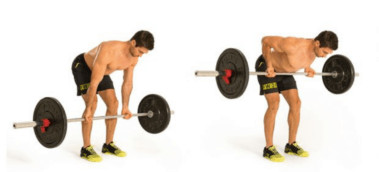 12 Barbell Row Variations to Train Different Back Muscles | Legion