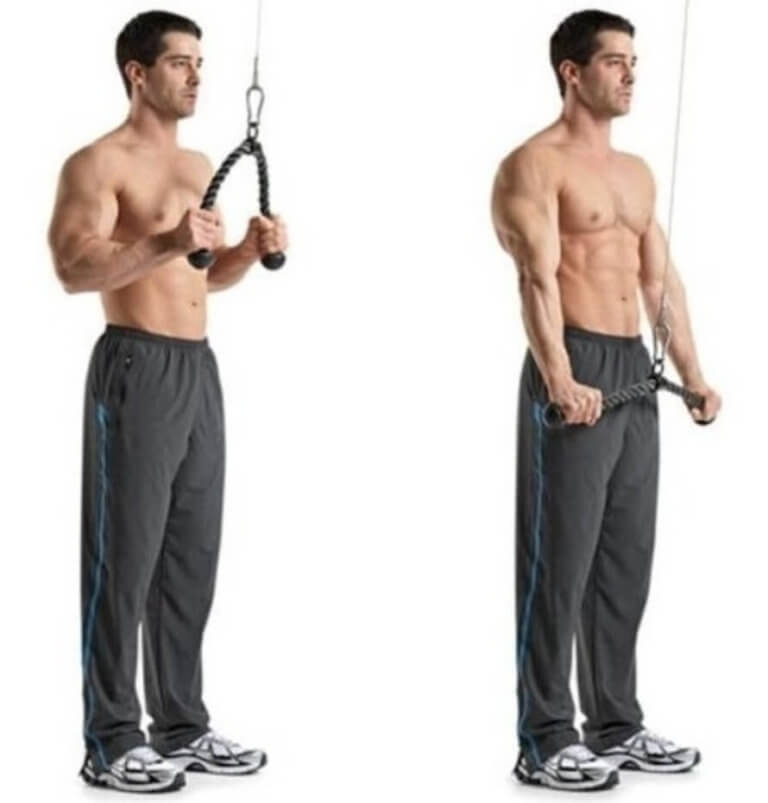 The Best Long Head Tricep Exercises for Mass & Hypertrophy | Legion