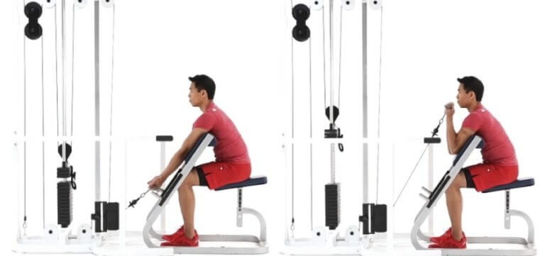 How to Preacher Curl: Benefits, Form & Alternatives | Legion