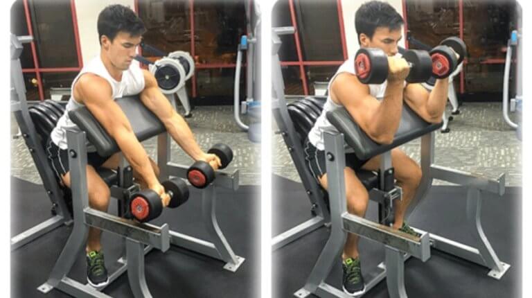 How to Preacher Curl: Benefits, Form & Alternatives | Legion
