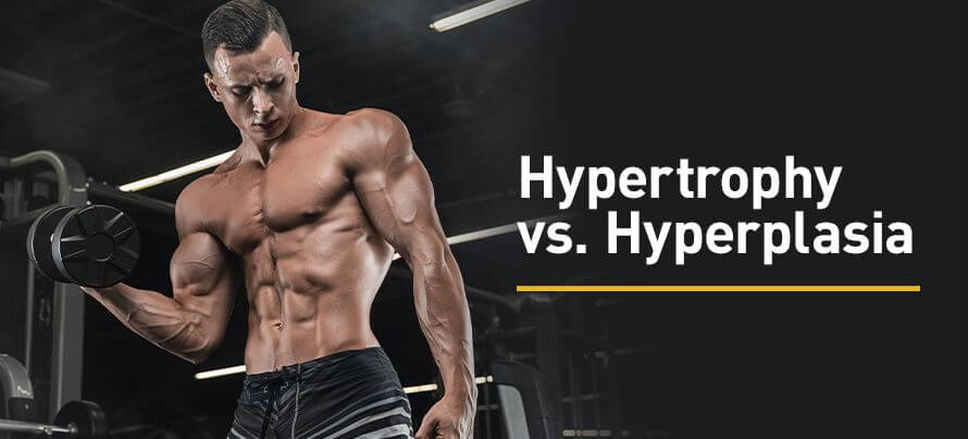 Ep. #810: Should You Train For Hypertrophy or Hyperplasia? - Legion ...