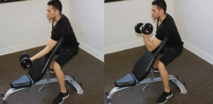 How to Preacher Curl: Benefits, Form & Alternatives | Legion