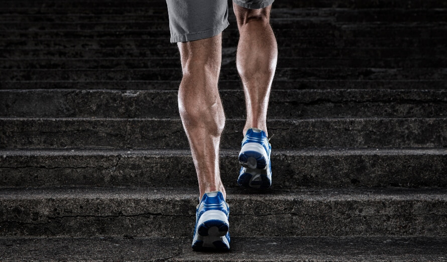Is Calf Size Genetic Legion