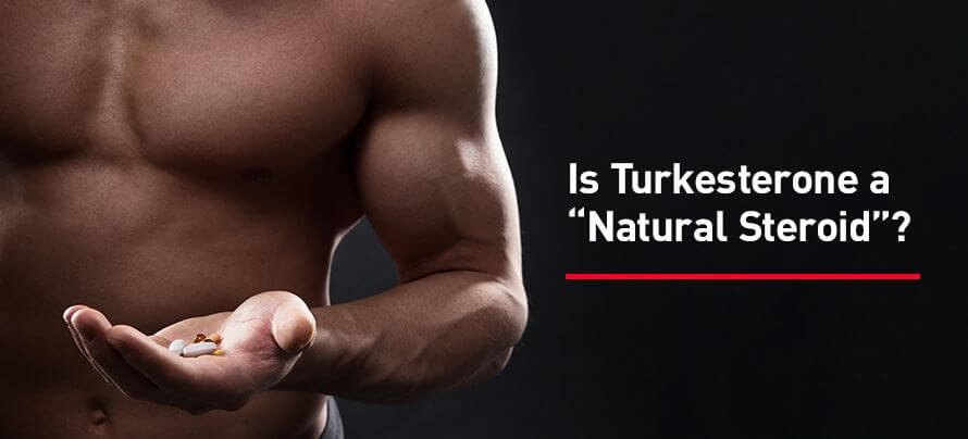 Ep. #834: Is Turkesterone a Safe and Effective “Natural Steroid ...