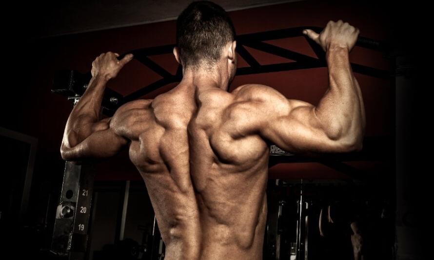 Are Bodybuilding Peptides a Safe and Effective Alternative to Steroids ...