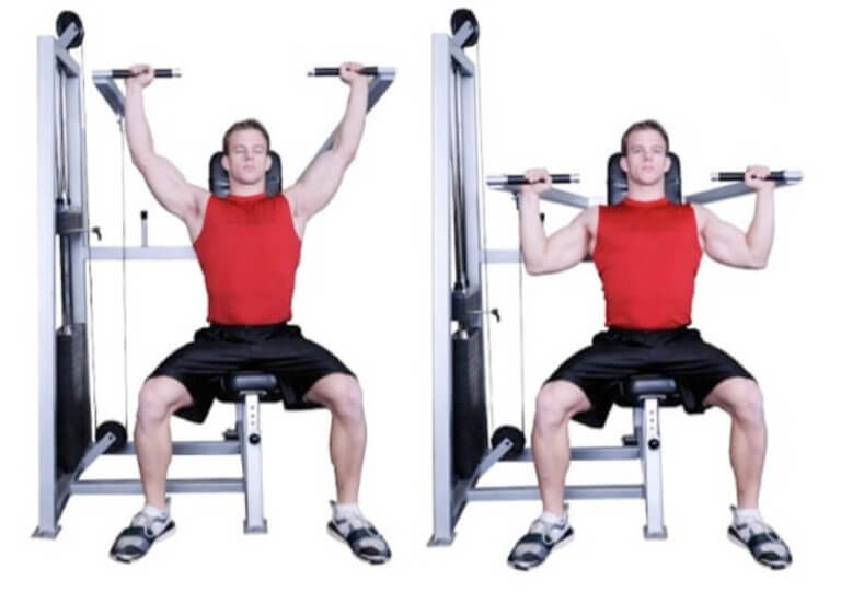 How to Do the Seated Overhead Press: Muscles Worked, Form ...