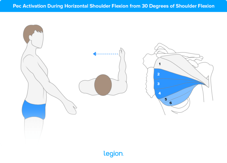 The Best Lower Chest Workout for Well-Defined Pecs | Legion