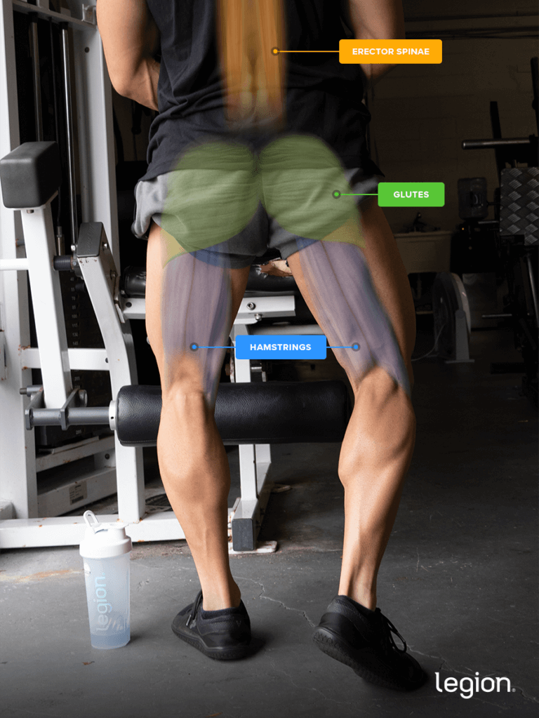 How to do the Barbell Good Morning Exercise: Form, Benefits, and ...