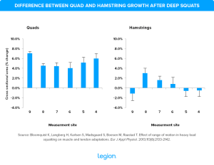 Do Squats Work Hamstrings? An Evidence-Based Guide