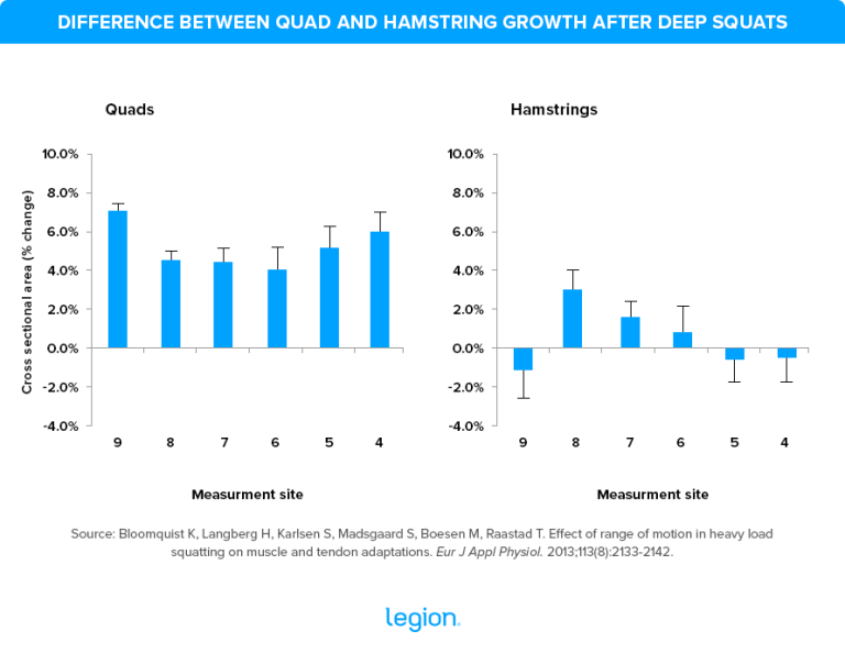 Do Squats Work Hamstrings? An Evidence-Based Guide