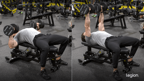 10 Exercises for the Perfect Triceps Workout with Dumbbells