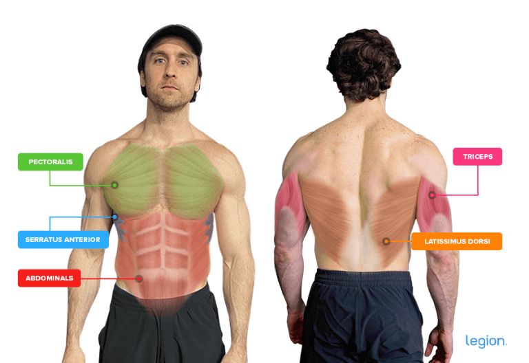 Dumbbell Pullovers: Muscles Worked, Form & Alternatives