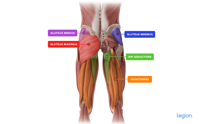 Master the Cable Pull-Through for Glutes Size & Strength