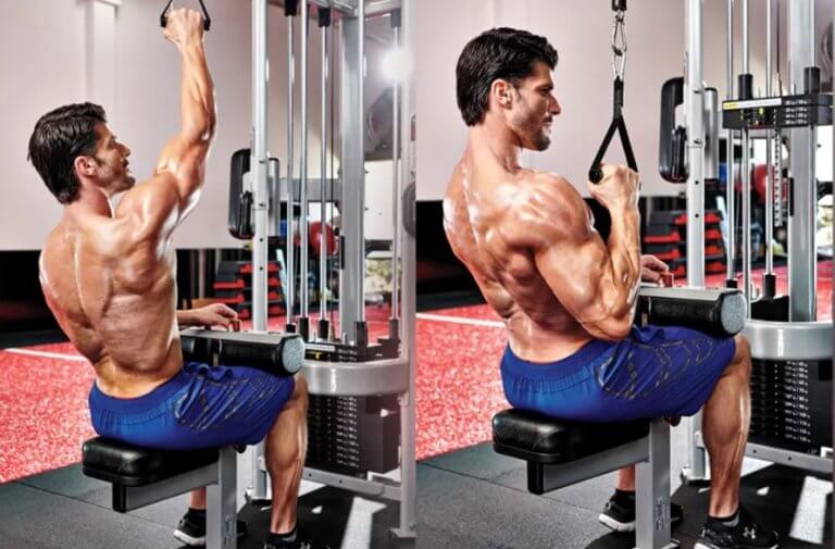 Close-Grip Lat Pulldown: Form, Benefits & Variations | Legion