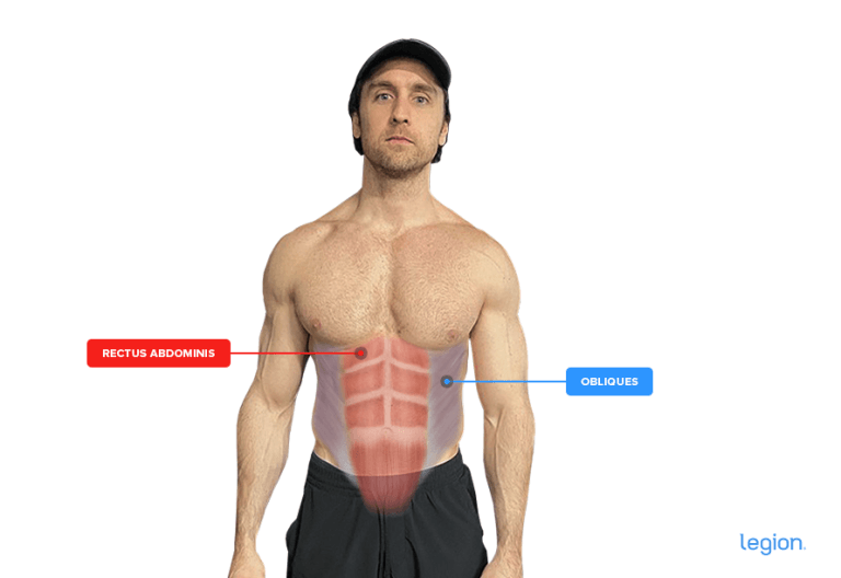 Main Muscle Groups: Exercises for Each Muscle Group | Legion