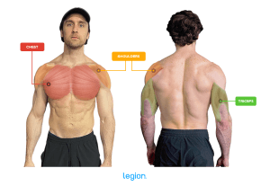 Best Push Day Exercises: Lifts & Workout Splits | Legion