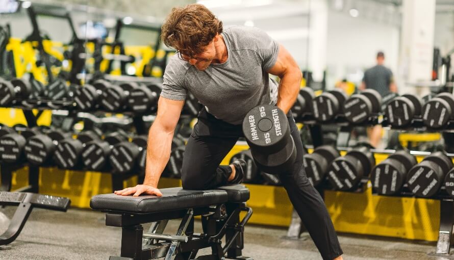 Push Pull Legs Routines: 2-to-6 Day Splits for Mass Gain