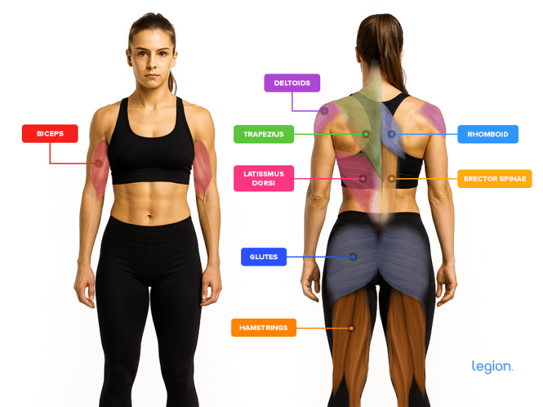 Pull Day Workout for Women | Legion